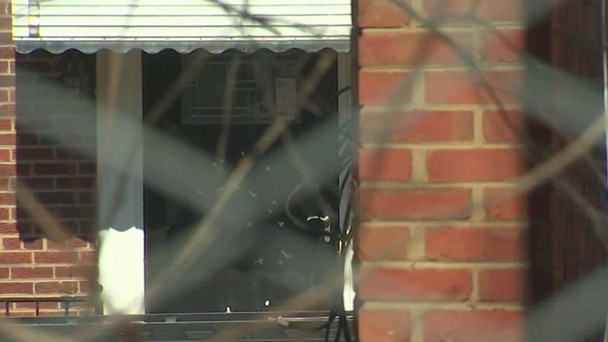 Man suspected of shooting DC officers faced eviction over dogs – NBC4 ...