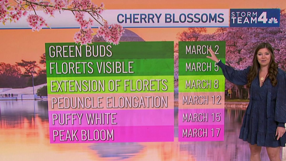 Midday Weather: March 19 – NBC4 Washington