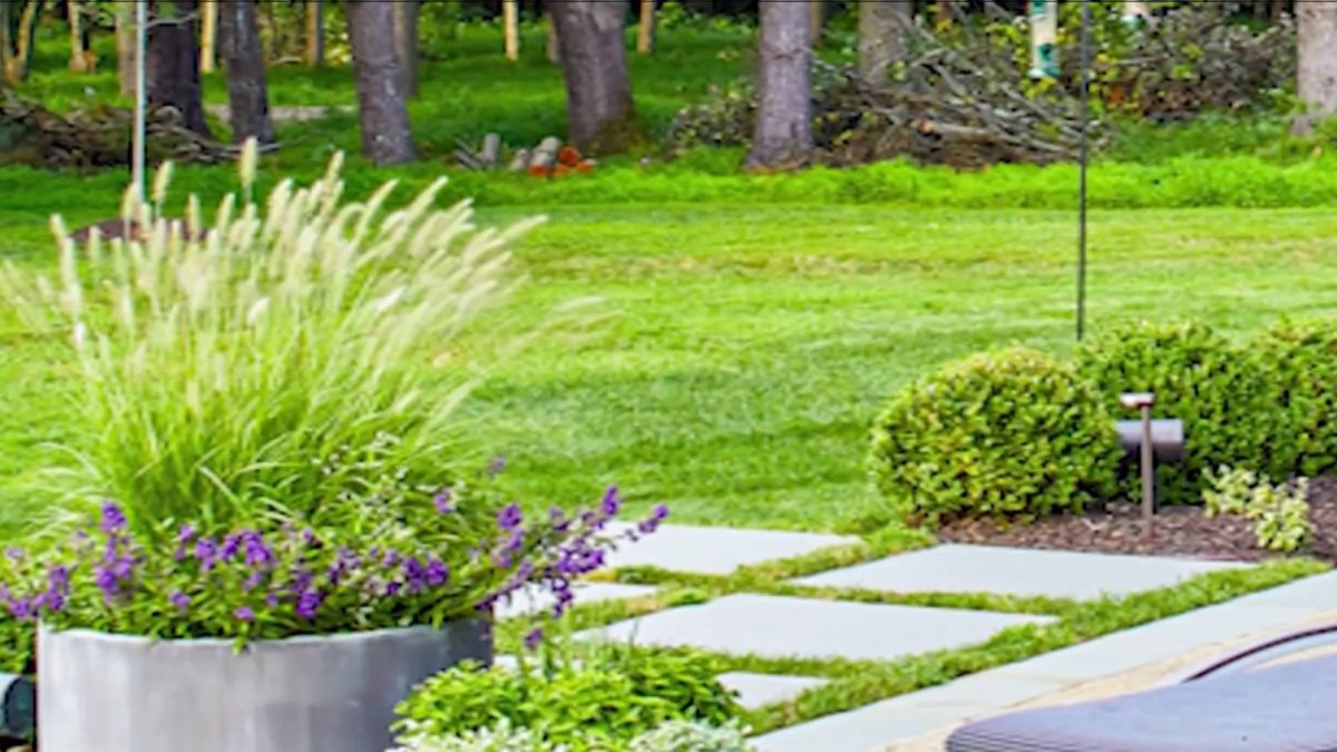 Spring Garden And Backyard Design Trends For 2024 Nbc4 Washington