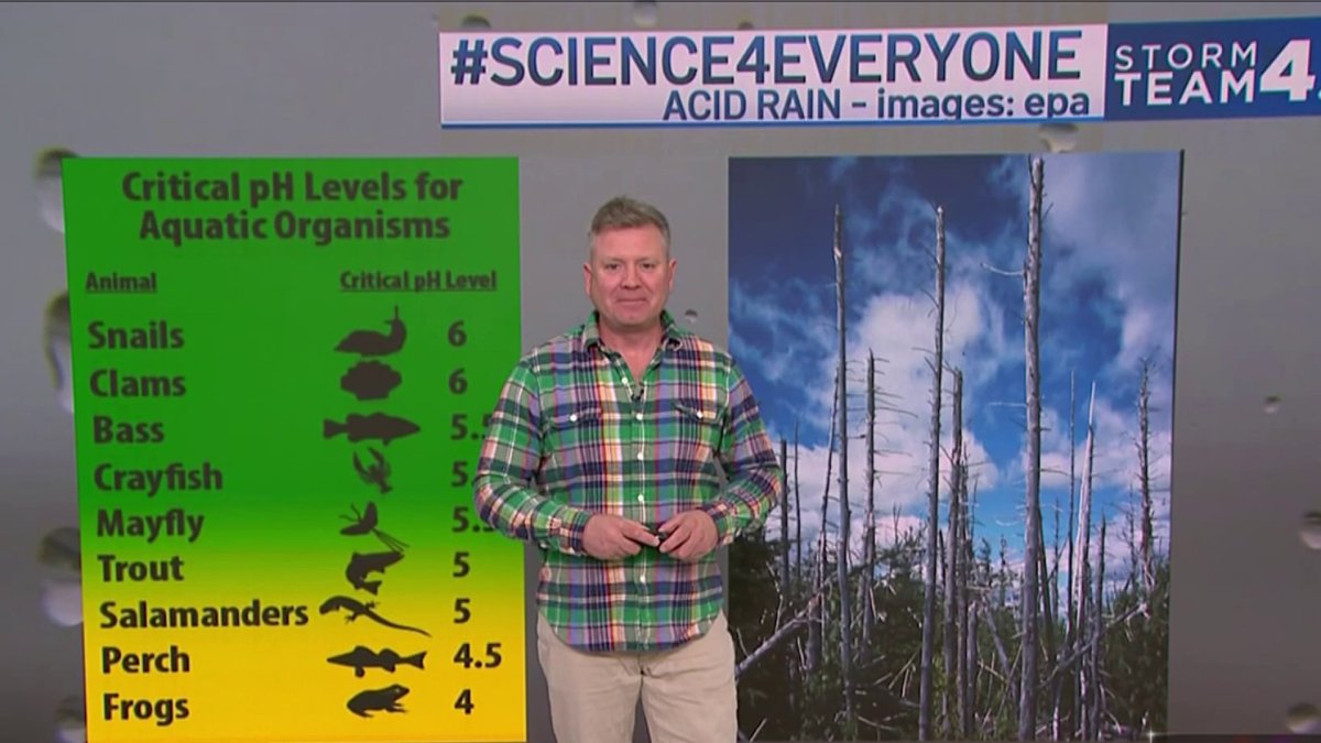 Acid rain: How to check the pH of precipitation – NBC4 Washington