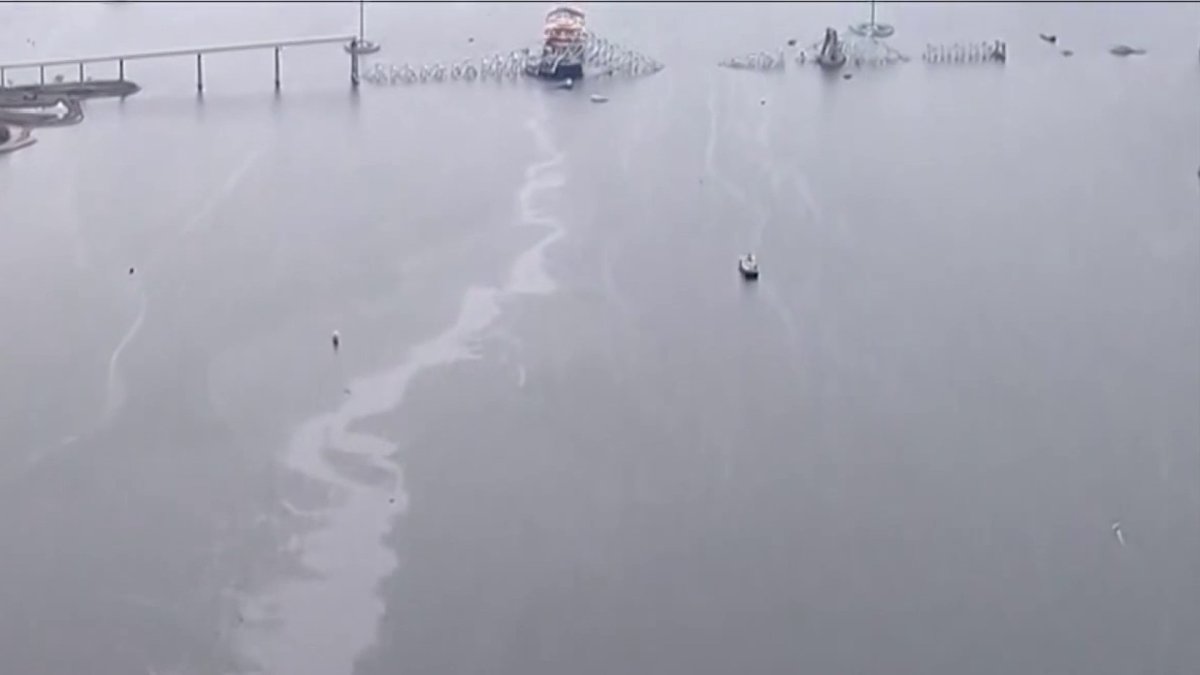 Activists watch for environmental impact of Key Bridge disaster – NBC4 ...