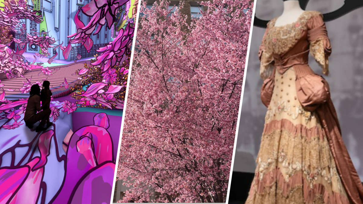 The Weekend Scene: 15 things to do in the DC area March 8-10 – NBC4 ...