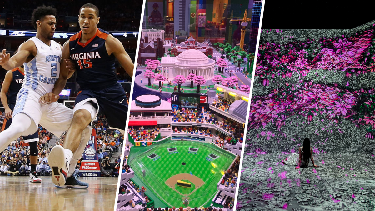 The Weekend Scene: Things to do in the DC area – NBC4 Washington