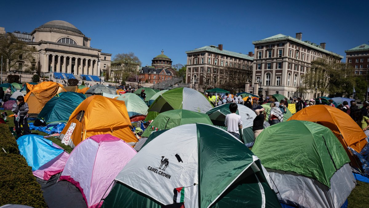 Pro-Palestinian protests sweep US college campuses – NBC4 Washington