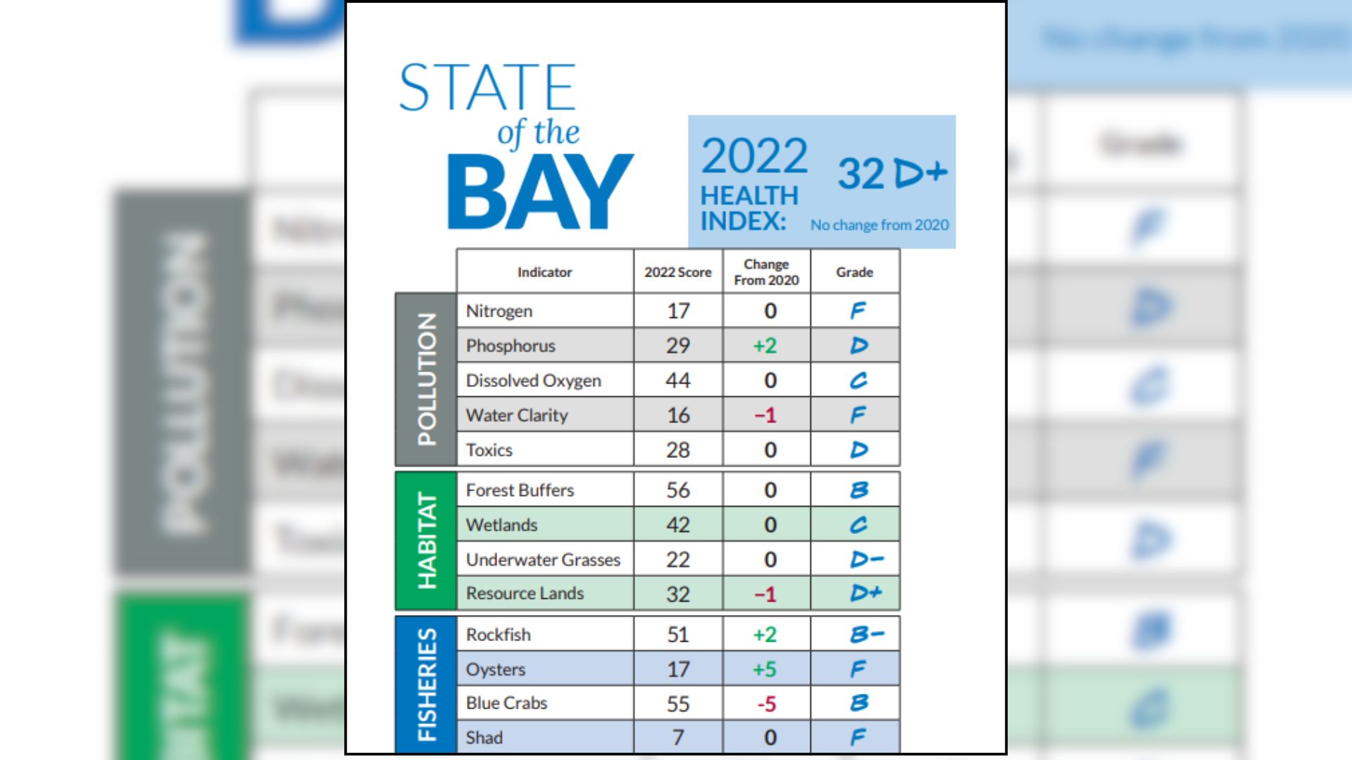 Oyster gardening: How volunteers help improve the Chesapeake Bay – NBC4 ...
