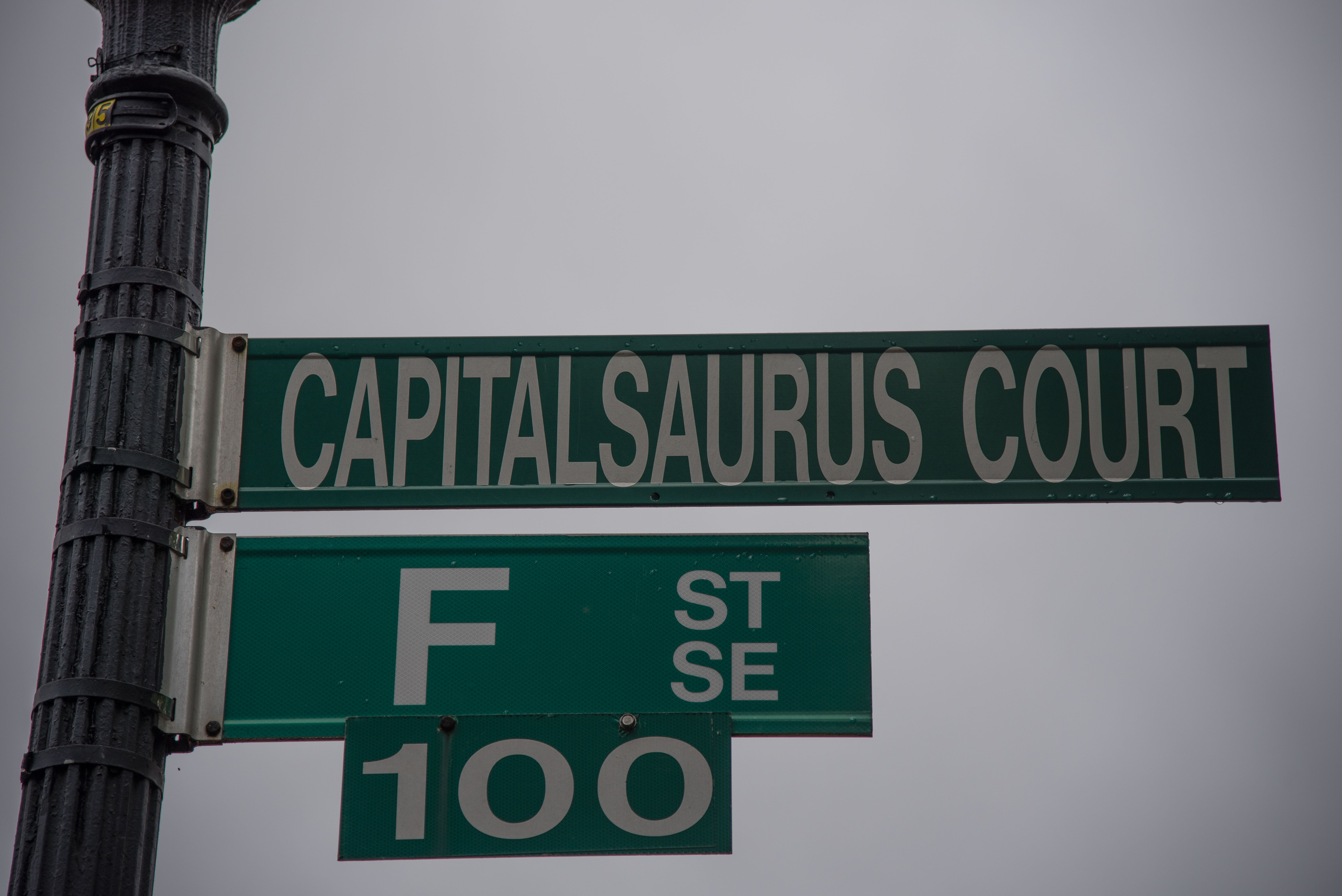 The story of Capitalsaurus, DC’s official dinosaur – NBC4 Washington