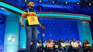 Scripps National Spelling Bee kicks off with 245 spellers competing ...