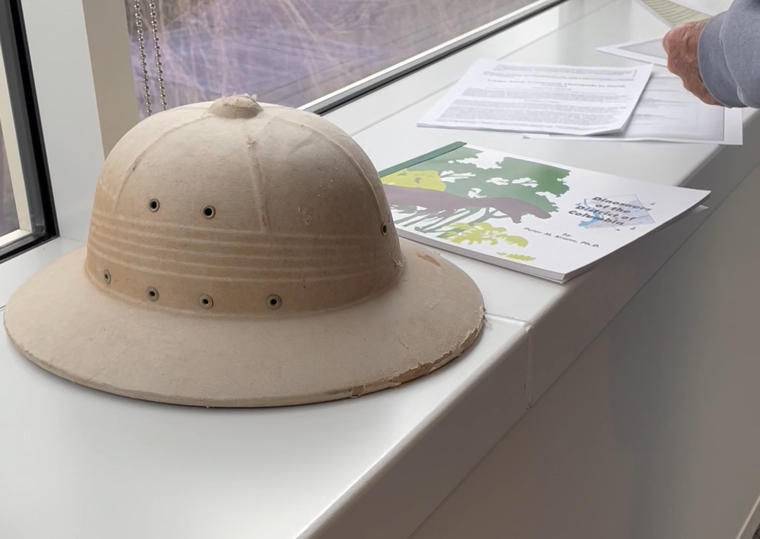 The story of Capitalsaurus, DC’s official dinosaur – NBC4 Washington