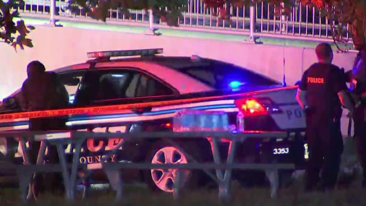 2 children and adult hit and killed by train in Springfield: police ...