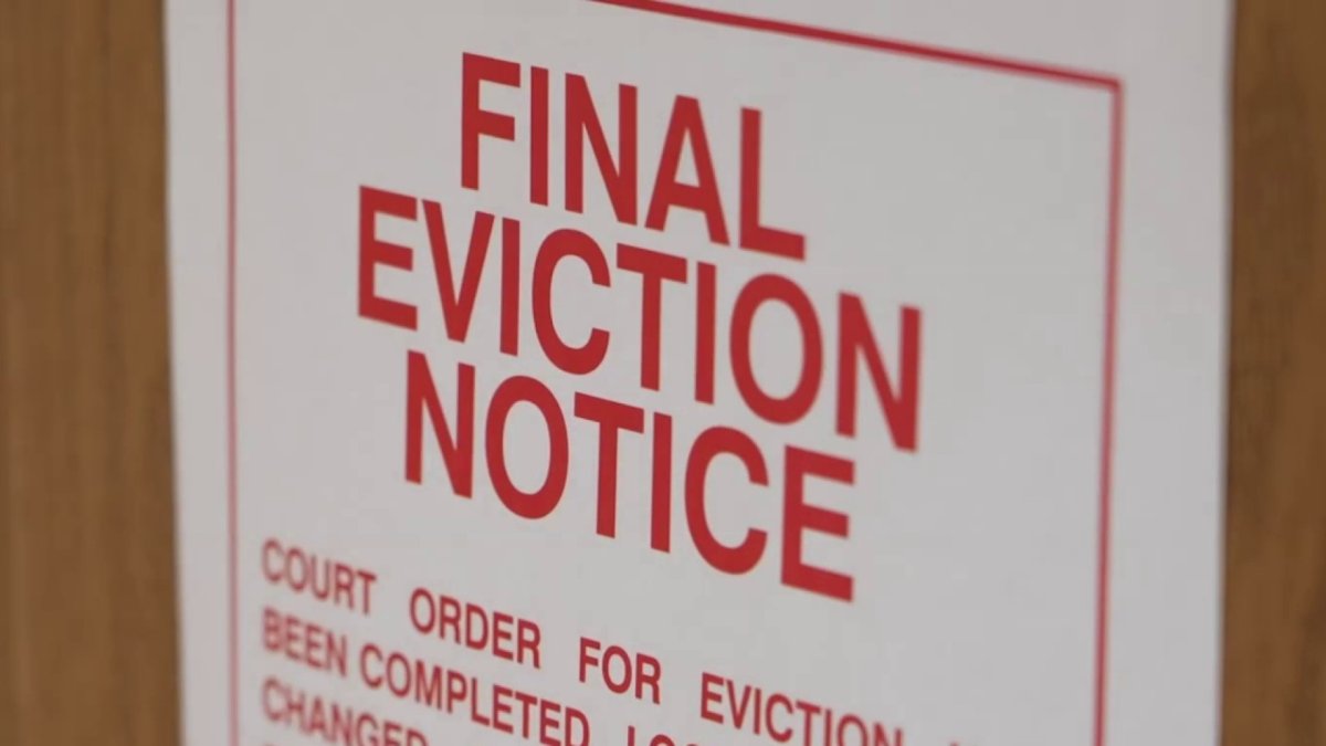 What to do when denied housing due to tenant background check: The ...