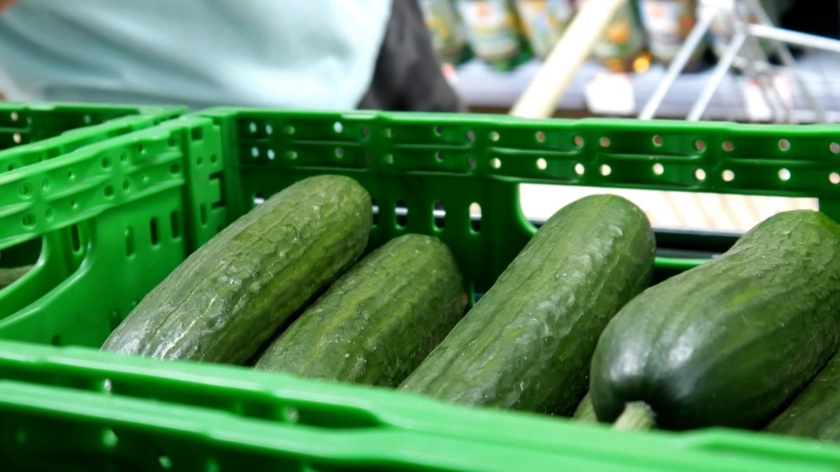 Cucumbers recalled from 14 states over possible Salmonella ...