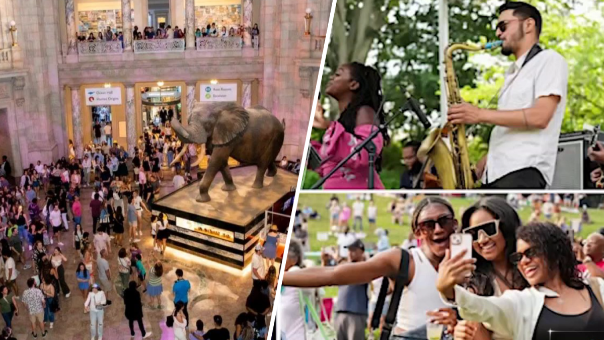 The Weekend Scene: Things to do in the DC area June 20-23 – NBC4 Washington
