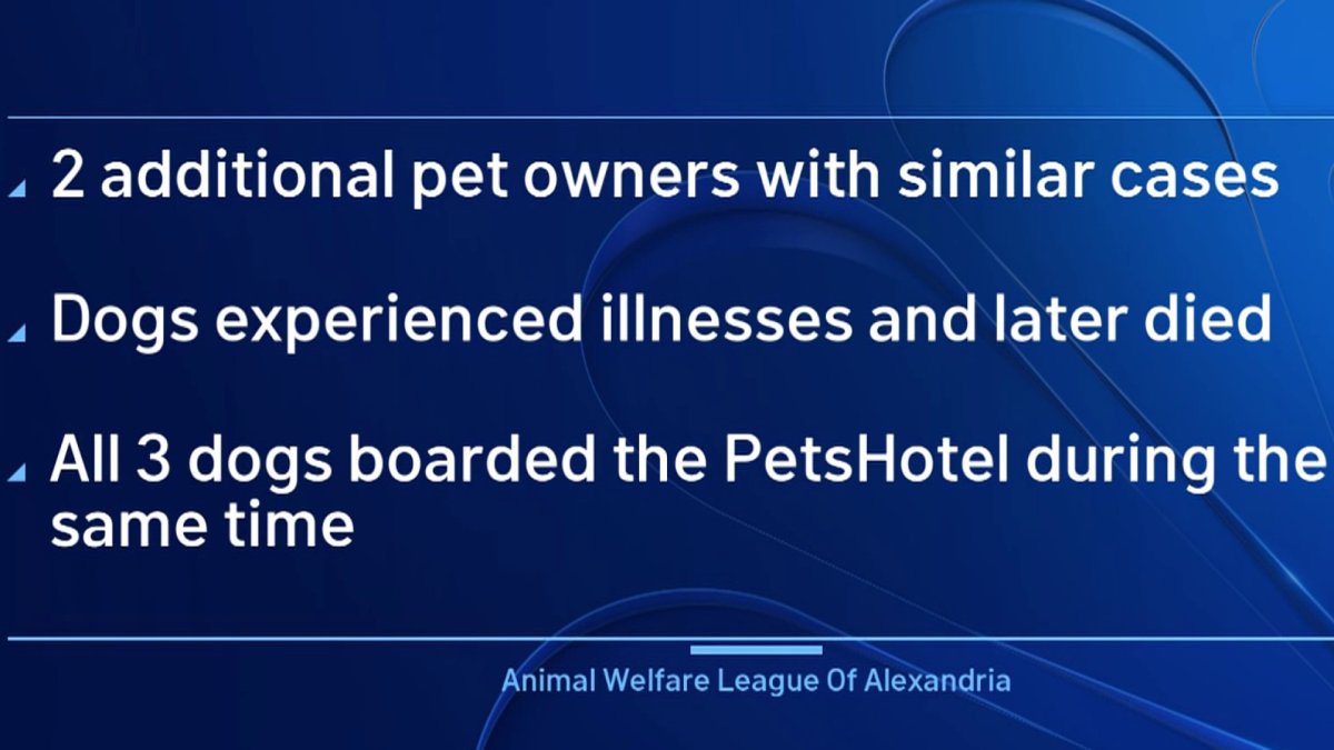 3 dog deaths investigated at Potomac Yard PetSmart – NBC4 Washington