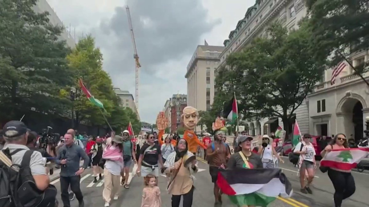 Demonstrators protest outside White House during Netanyahu visit – NBC4 ...