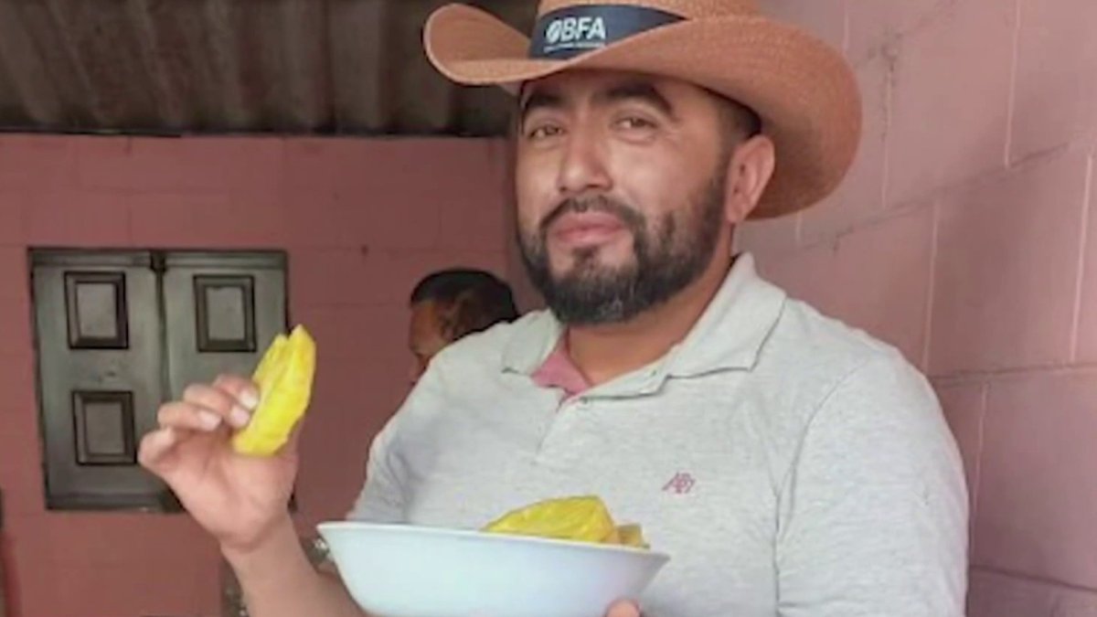 Man dies after clash with neighbors over dogs – NBC4 Washington