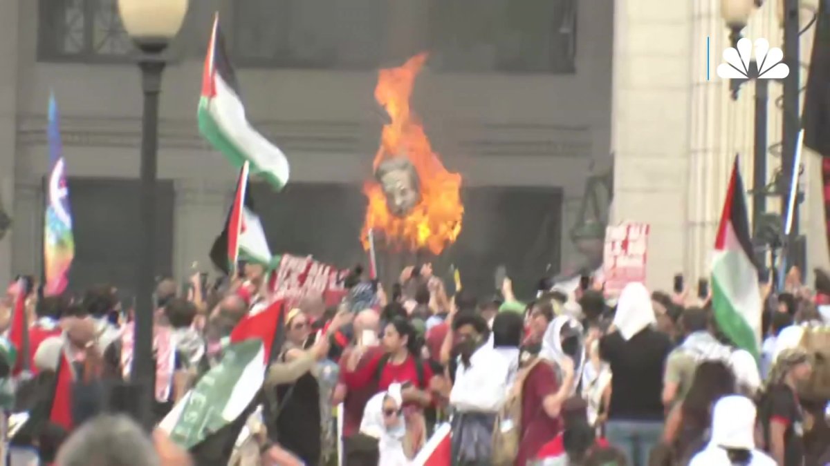 Protesters against war in Gaza burn effigy of Israeli PM Netanyahu ...