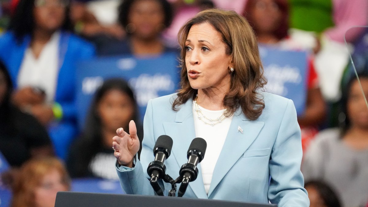 A closer look at Harris’ new economic proposals – NBC4 Washington