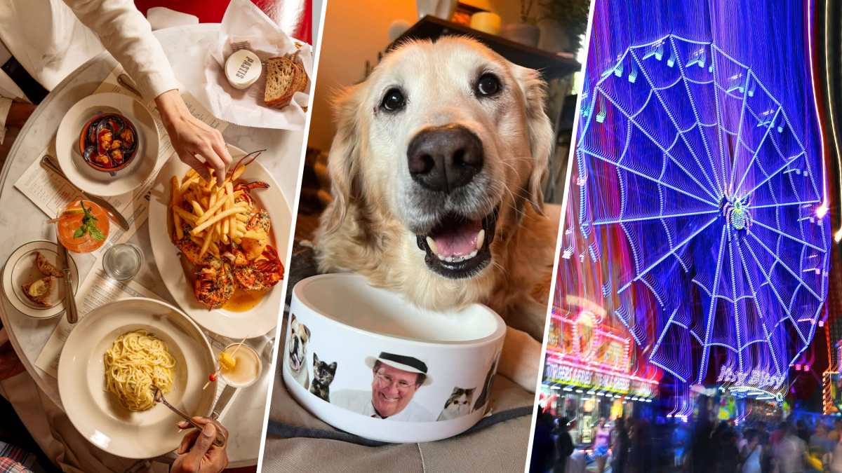 The Weekend Scene: Things to do in the DC area, Aug. 16-18 – NBC4 ...