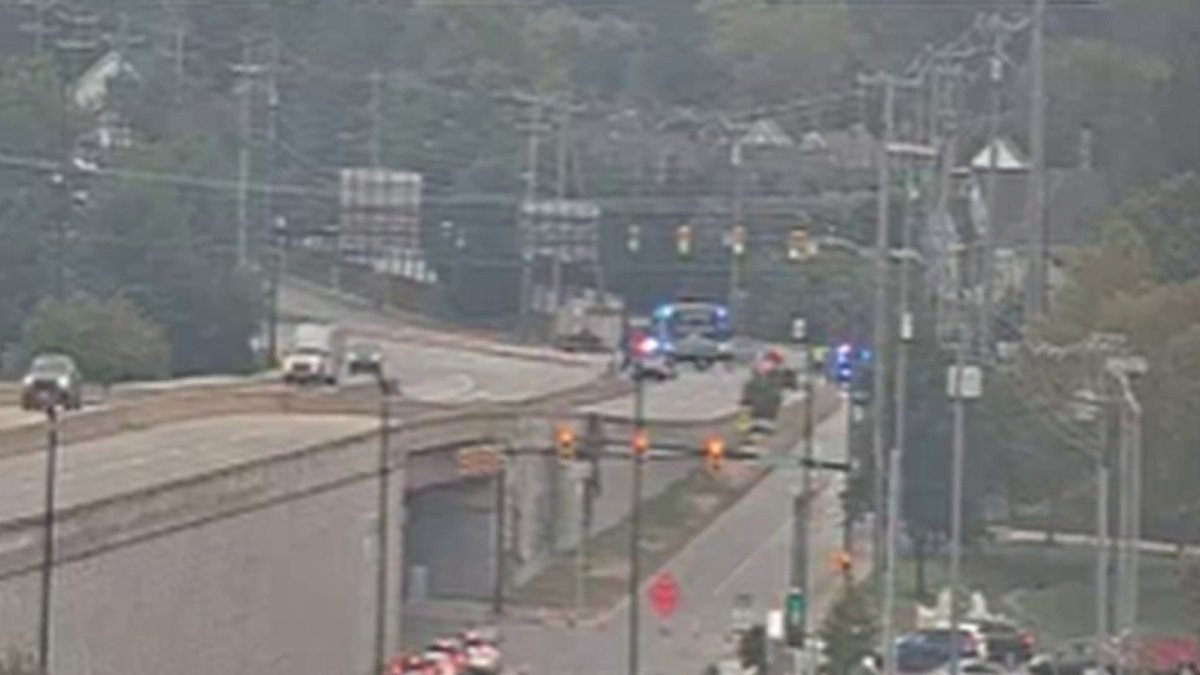 Pedestrian killed in hit-and-run in Springfield – NBC4 Washington