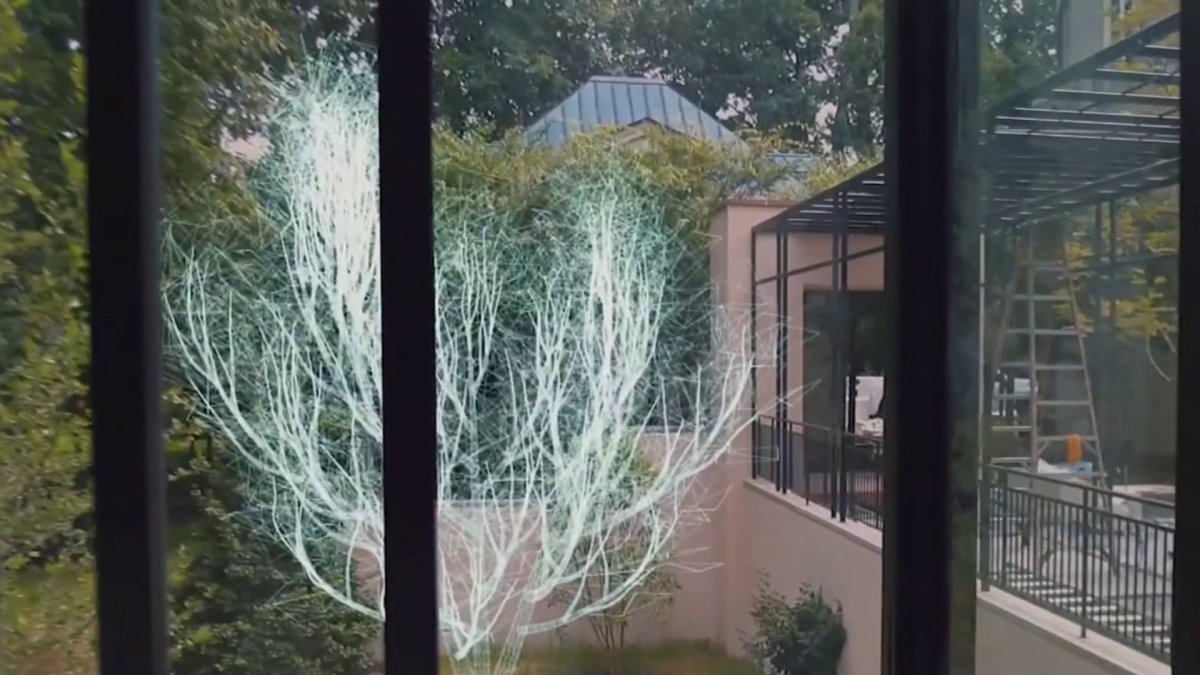 Trees have faces and fall is a great time to plant – NBC4 Washington