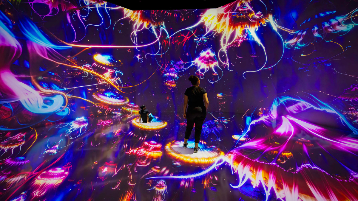 ‘Twilight Zone’ exhibit at ARTECHOUSE DC dives deep into ocean – NBC4 ...