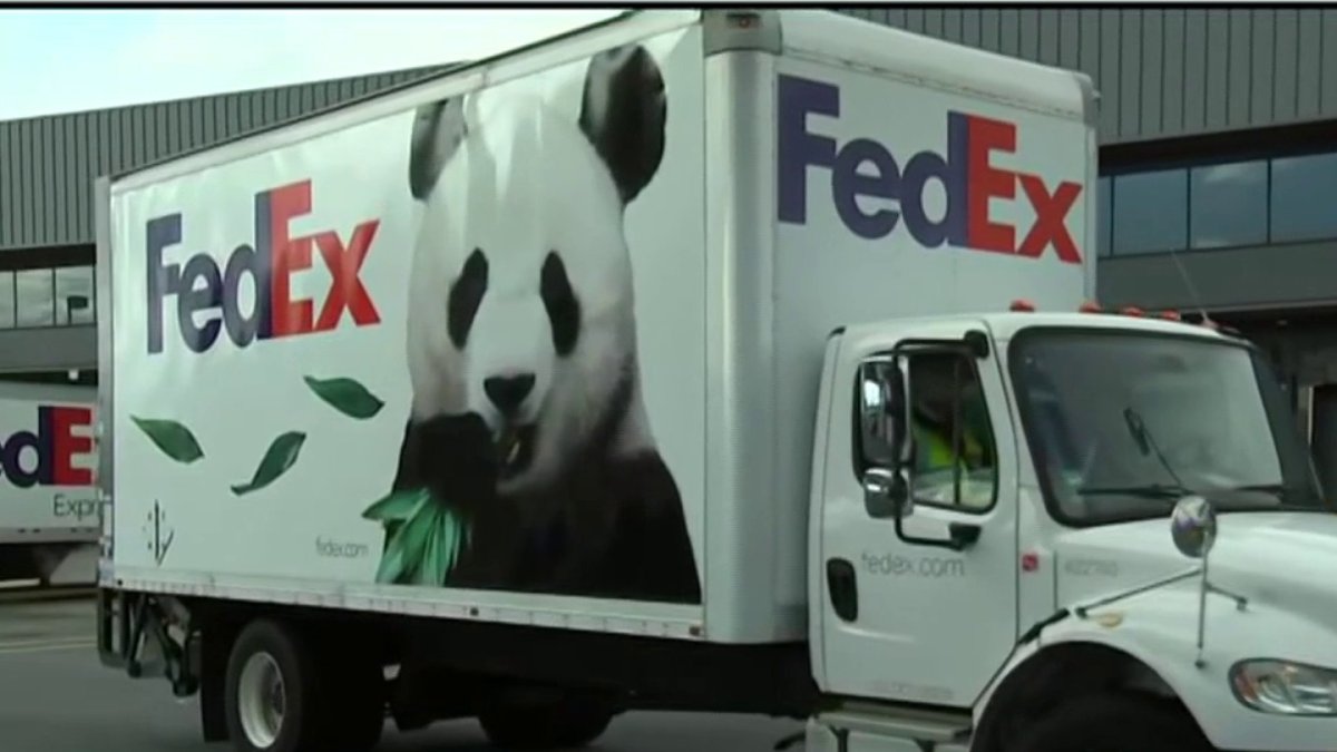‘Blessed to have them’: Giant pandas’ arrival sparks excitement in DC ...