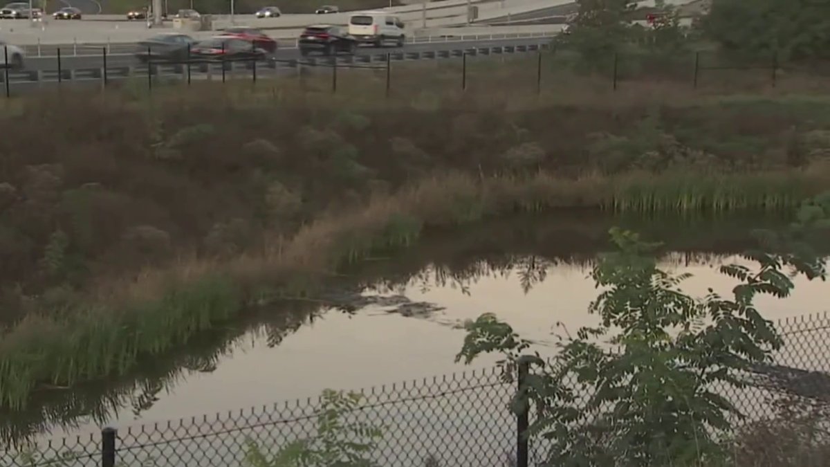 Troopers rescue woman who drove into pond off I-66 – NBC4 Washington