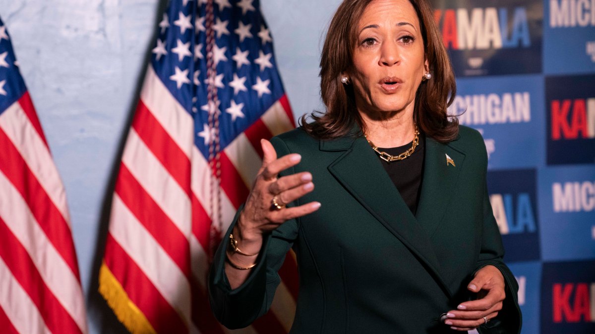 What to know about Kamala Harris’s National Mall speech – NBC4 Washington