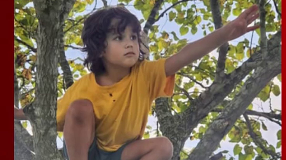 Missing 5-year-old found dead in pond near his home in Waldorf – NBC4 ...