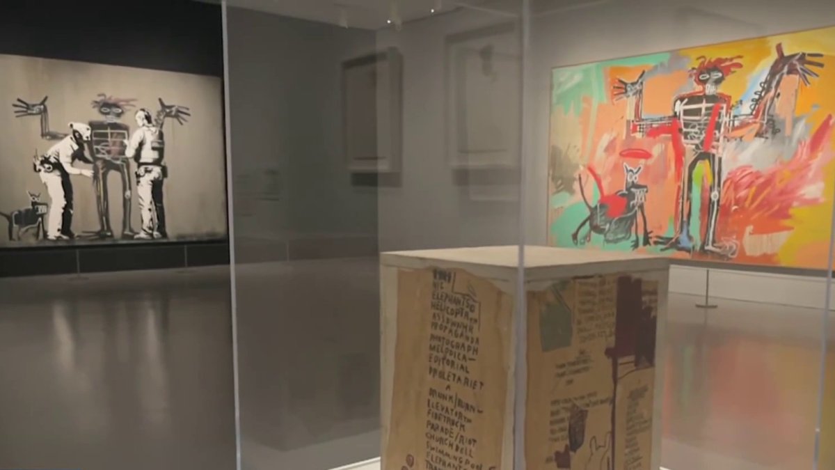 Basquiat, Banksy art shown at Hirshhorn museum for the 1st time – NBC4 ...