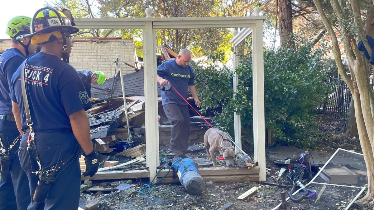 Dog found alive after Virginia home exploded – NBC4 Washington