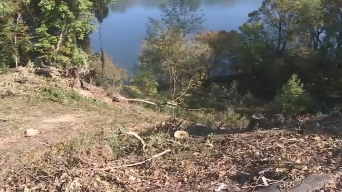 Tree removal along GW Parkway halted after backlash – NBC4 Washington