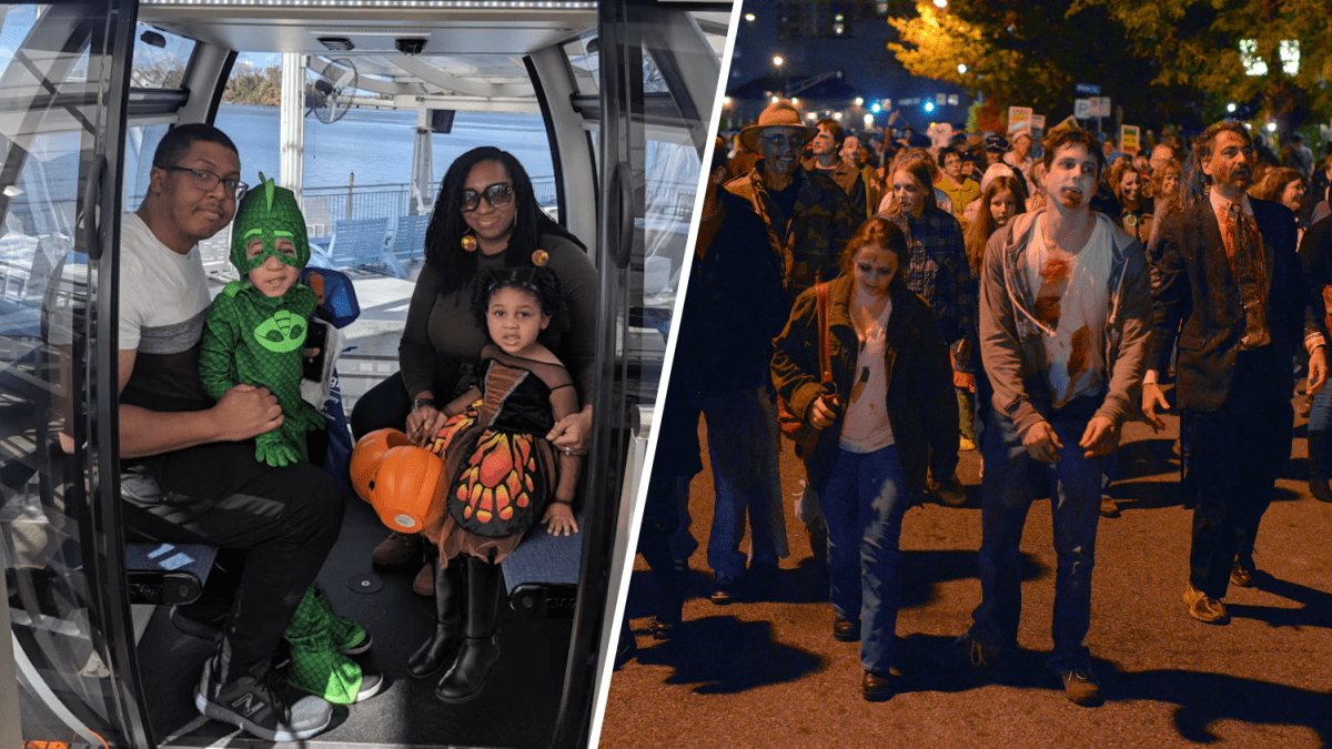 The Weekend Scene: Things to do in the DC area – NBC4 Washington