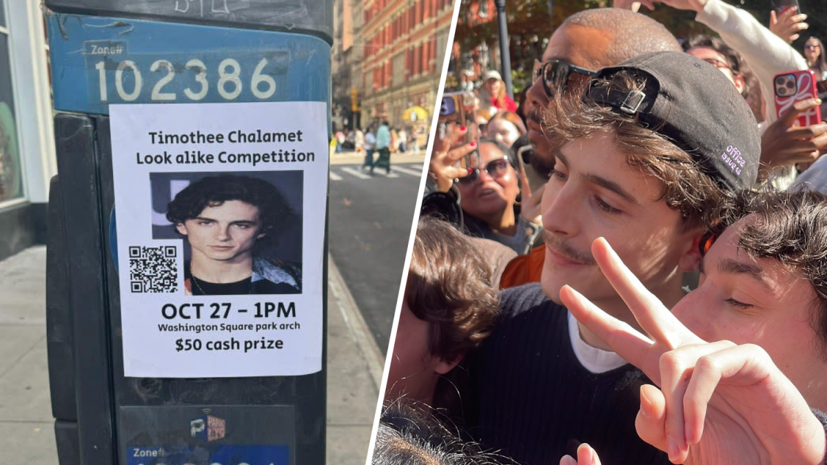 Timothée Chalamet look-alike contest: actor crashes crowd at NYC park ...