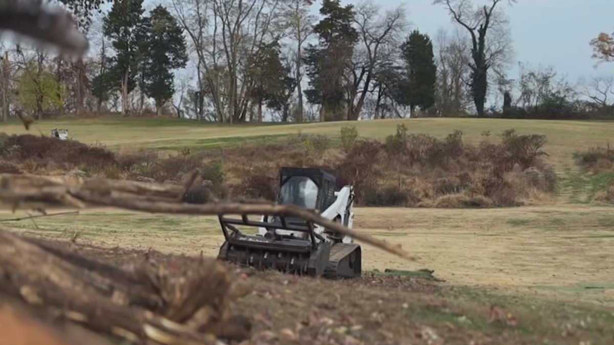 Battle brews over Rock Creek Park Golf Course tree removal – NBC4 ...