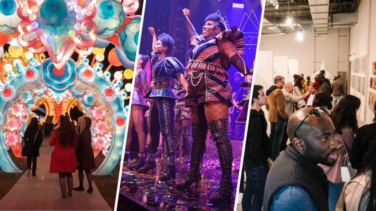 The Weekend Scene: What to do Nov. 14-17 in the DC area – NBC4 Washington