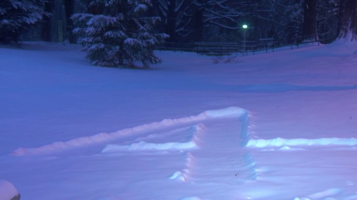 Inches of snow pile up as texture begins to change to wet, heavy – NBC4 ...