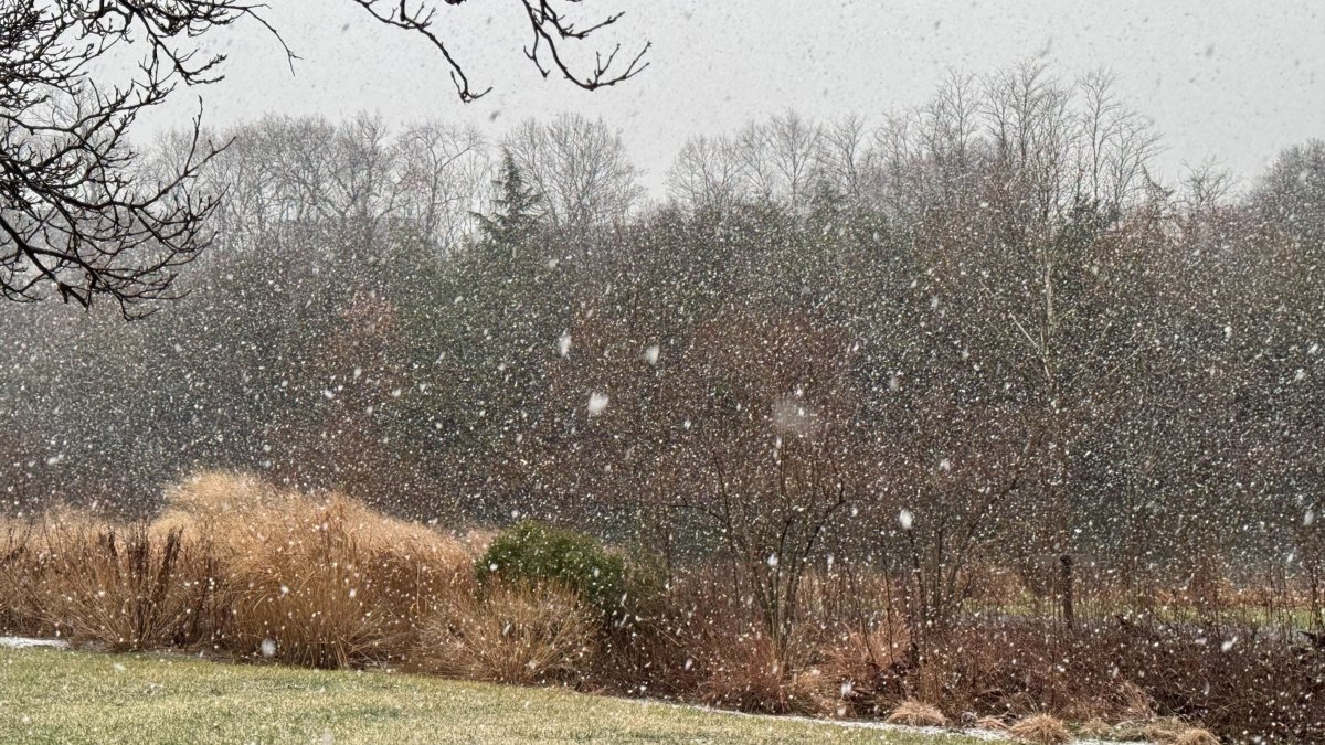 Snow and rain showers Friday as DC area braces for winter storm – NBC4 ...