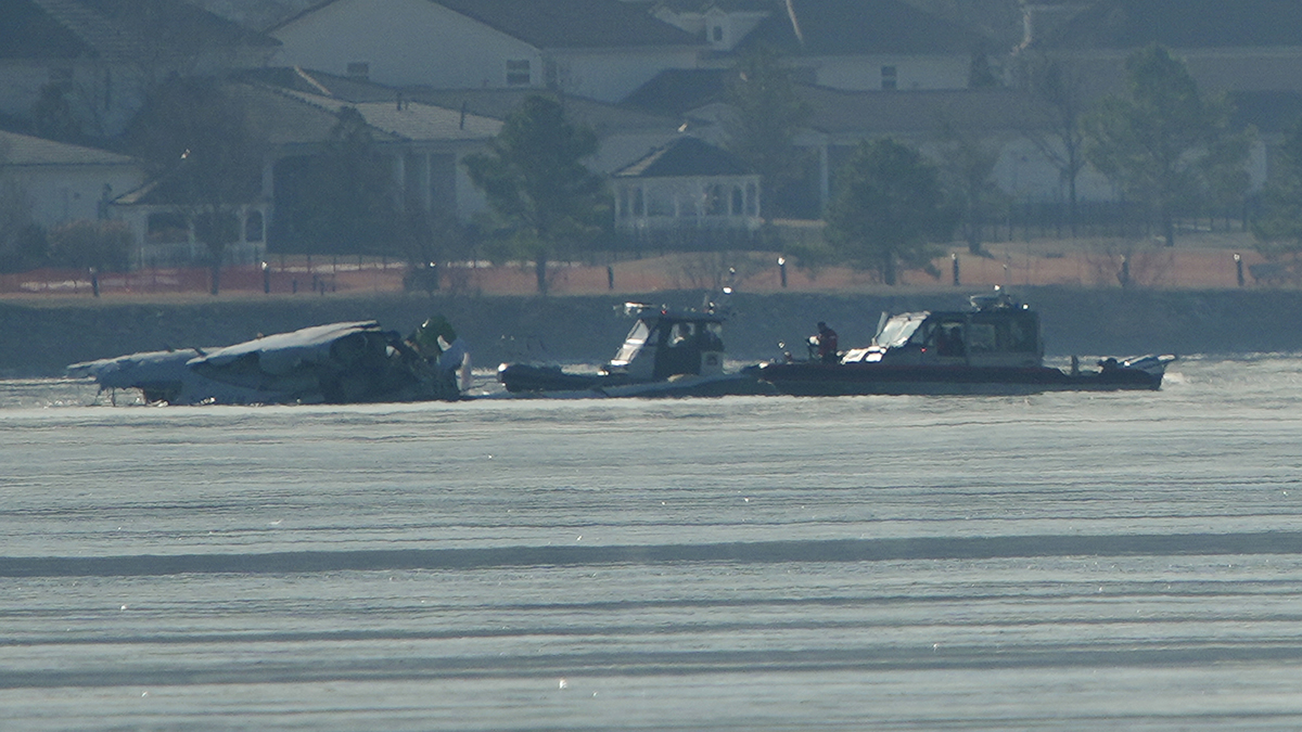 What caused the deadly midair collision between a passenger jet and ...