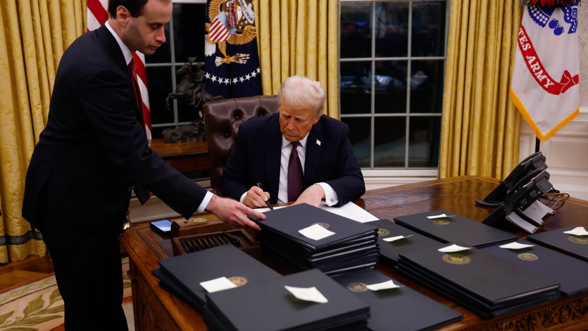 Gender identity, DEI programs targeted by Trump’s executive orders ...