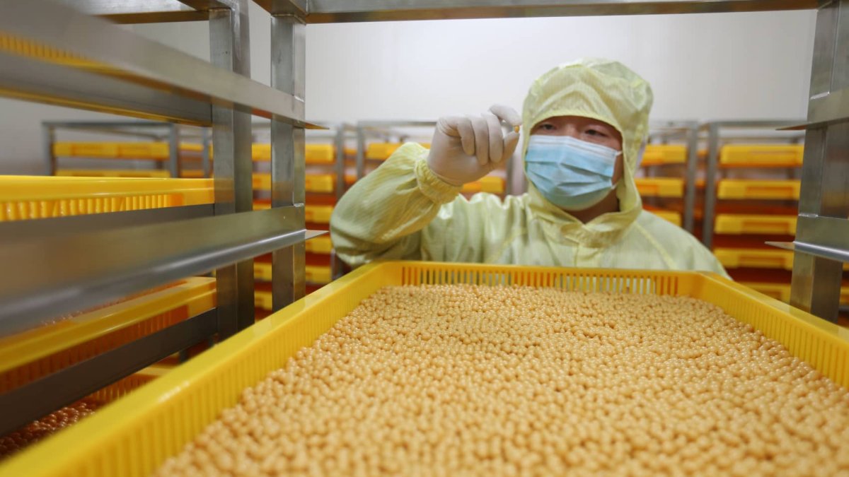 U.S. investors, Big Pharma race to find new medicines in China – NBC4 ...