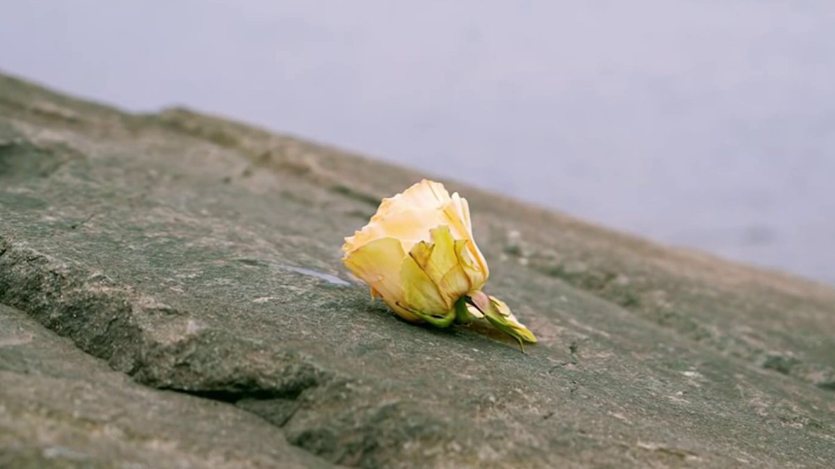 In memoriam: Remembering the victims of the Potomac crash – NBC4 Washington