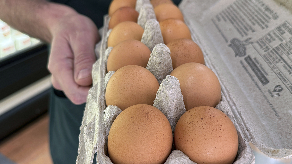 Egg prices could jump 41% this year, USDA says – NBC4 Washington