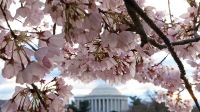 NBC4 Washington – DC, Maryland, Virginia local news and weather