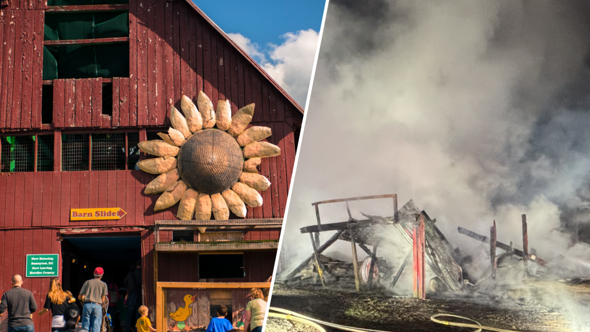 Fire destroys 100-year-old barn at Cox Farms – NBC4 Washington