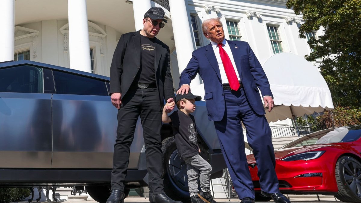 Tesla investor survey shows 85% believe Elon Musk’s politics are having ...