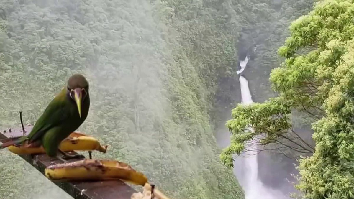 Ways to find cheap international travel deals from DC – NBC4 Washington