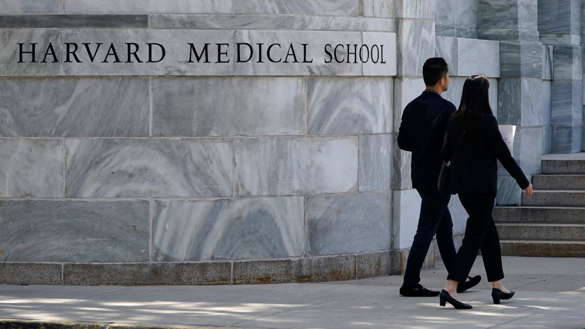 Harvard researchers sue the Trump administration for removing their ...