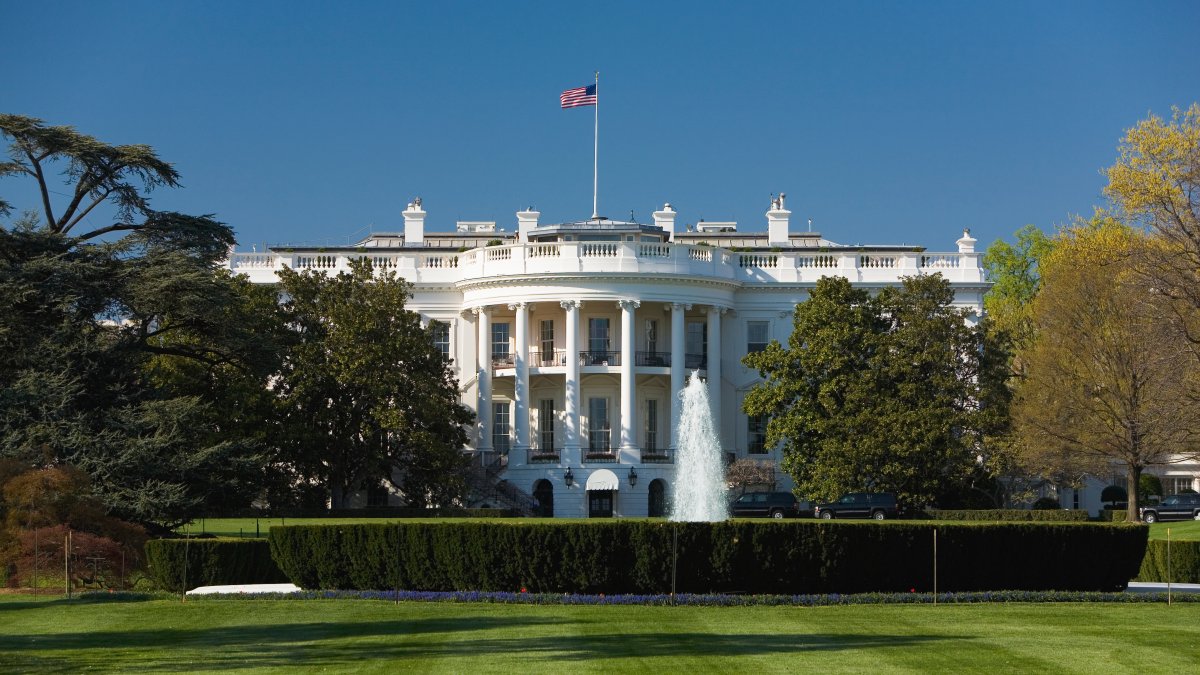 Historic tree planted to be cut down at the White House, Trump says ...