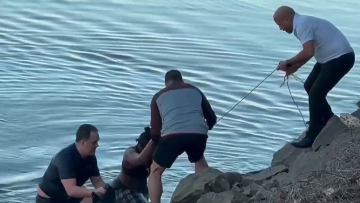 Good Samaritans pull woman from Potomac River before car sinks – NBC4 ...